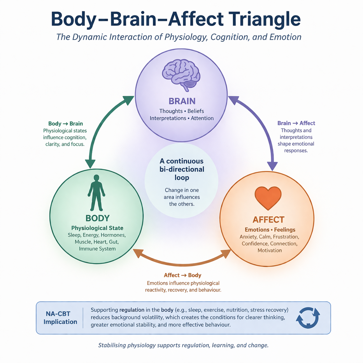 A NeuroAffective-CBT Perspective on Perimenopause: Multi-System ...